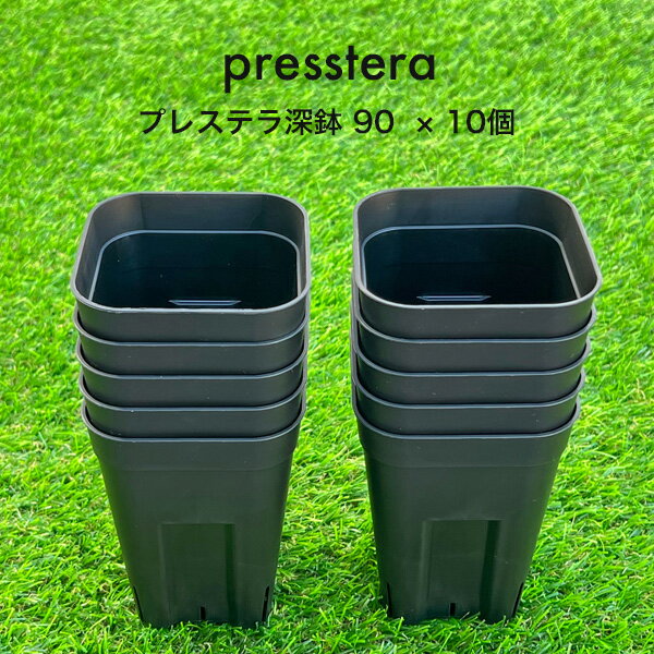 スクエア型が使いやすい、高級感のある硬質素材のプラスチック鉢です。鉢底は8箇所のスリットが入っており、水捌け良好で根腐れしにくいポットです。【商品名】プレステラ深鉢90【内容】10鉢セット【サイズ】80 x 80 x h112 mm　※メー...