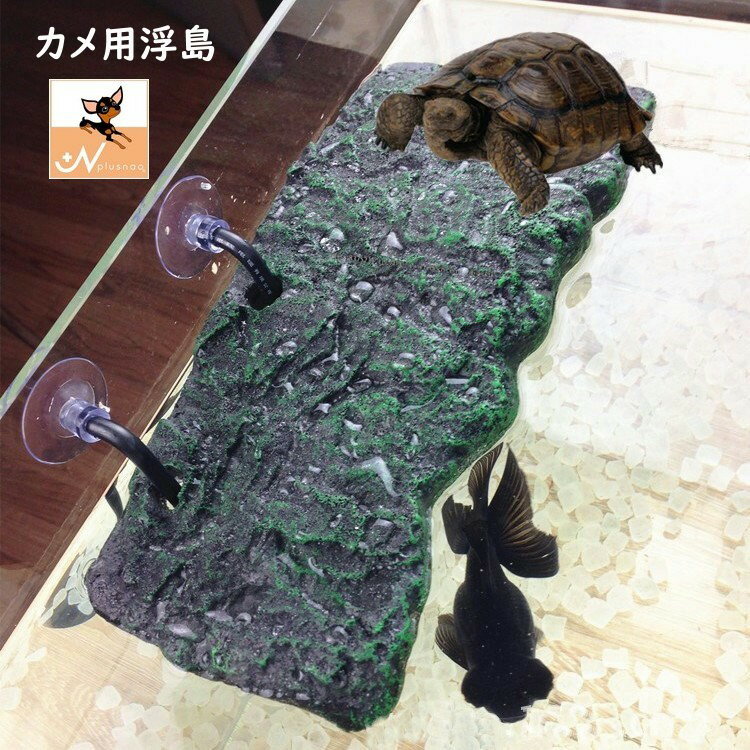 吸盤で簡単取り付け♪カメや両生類用の浮島岩風の黒と緑のカラー配色もおしゃれ水槽飼育のカメちゃんも喜ぶアイテムです。サイズをご確認の上ご購入下さい。フローティングとしては大きめですが小さめの亀用となります。個体によっては吸盤を外したりする場合...