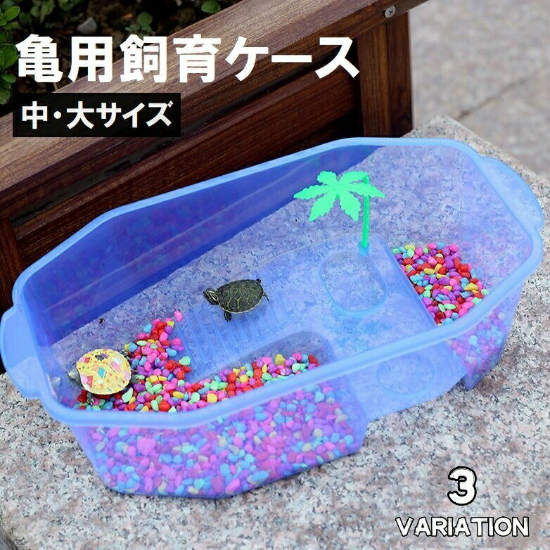エサやりゾーンや休憩ゾーンが一体型になった、亀用飼育ケース。取り外しの必要なパーツがないのでお手入れもラクラクです♪※小サイズも別ページで販売中です。　「pet-74053」で検索してください☆ 【サイズについて】画像をご参照ください。 【...