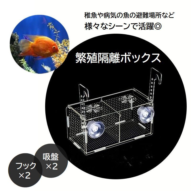 産卵を控えた親魚や稚魚、病気や怪我をしている魚の避難場所、新しい環境に慣れさせるなど、、、様々な場面で活躍してくれる隔離ケース。商品内容：本体×1　吸盤×2　フック×2【シングルタイプもございます】 pet-83815でご検索ください。 【...