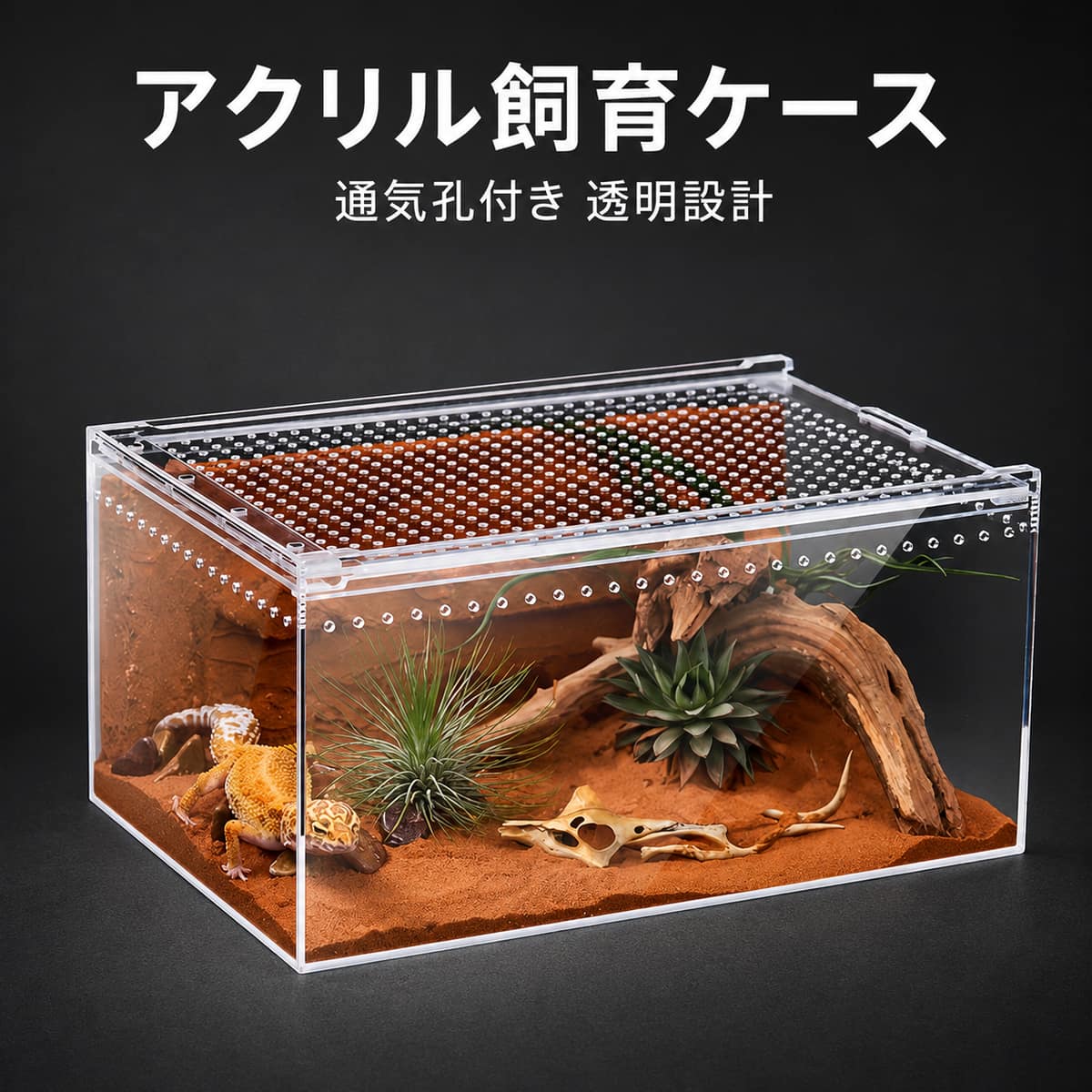 飼育ケースは、日常の使用シーンに合わせて取り入れやすいBADUSの生活雑貨です。透明アクリル素材で中の様子を確認しやすい飼育ケース通気孔付きで空気がこもりにくく、室内の観察用ケースとして使いやすい蓋付きで日常のお世話やレイアウト変更がしやす...