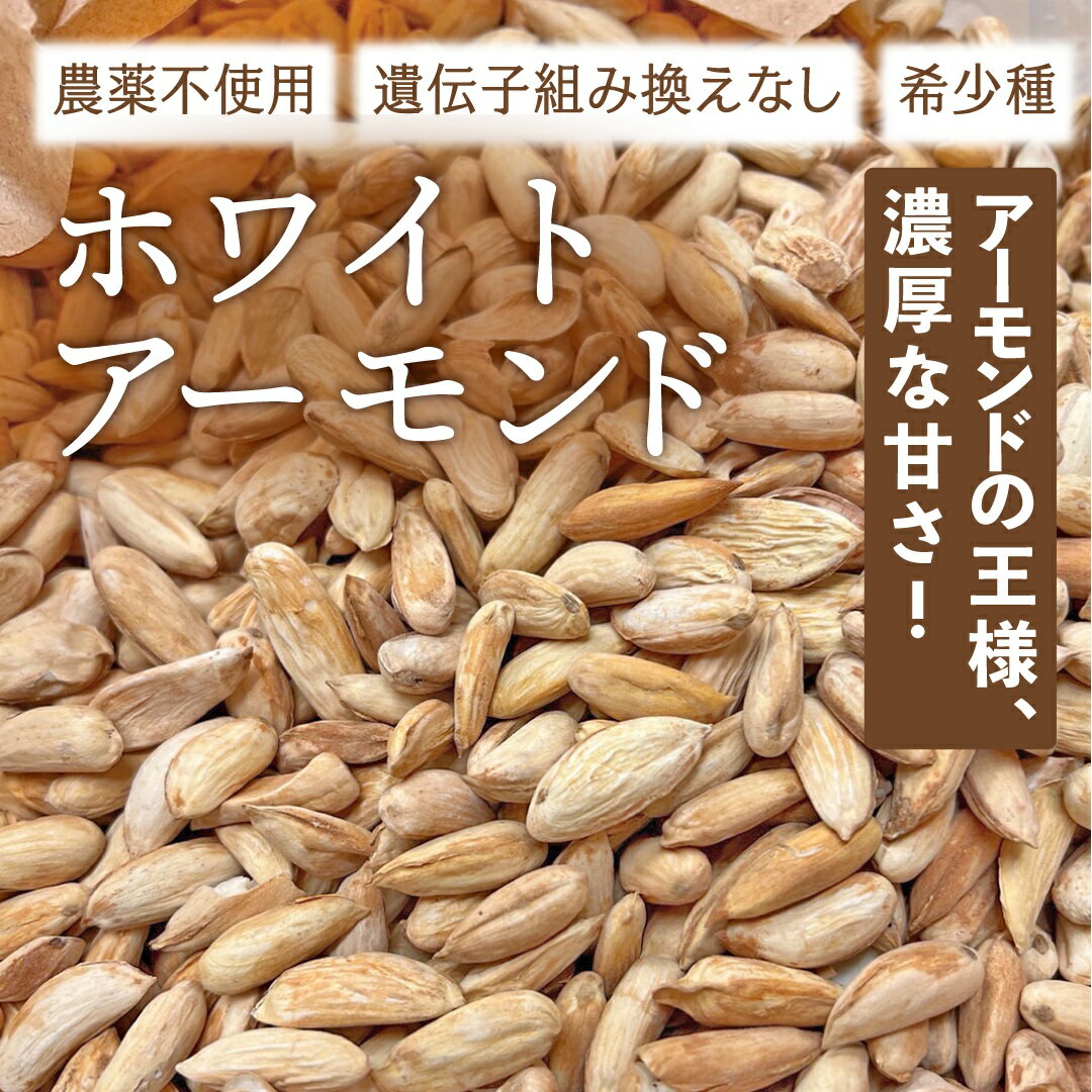 商品情報 名称 ホワイトアーモンド マムラ種 生アーモンド 無添加 農薬不使用 非遺伝子組換え アフガニスタン産 原材料 ホワイトアーモンド 内容量 200g / 400g 賞味期限 別途ラベルに記載 原産国 アフガニスタンホワイトアーモン...