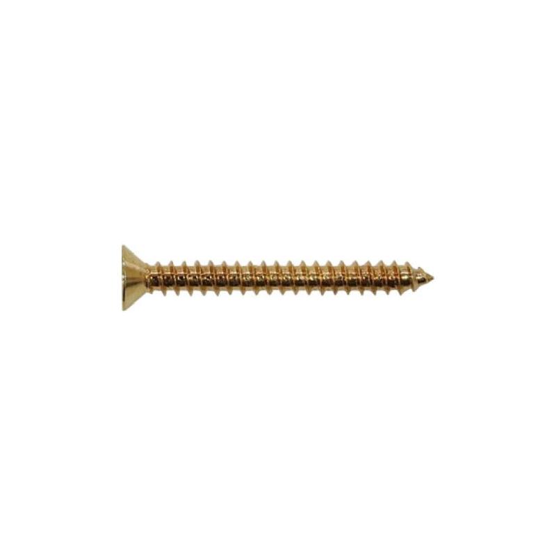 SCUD エスカッションビス、リア用、インチサイズ、8P ゴールド W-HMGLギター用インチサイズ