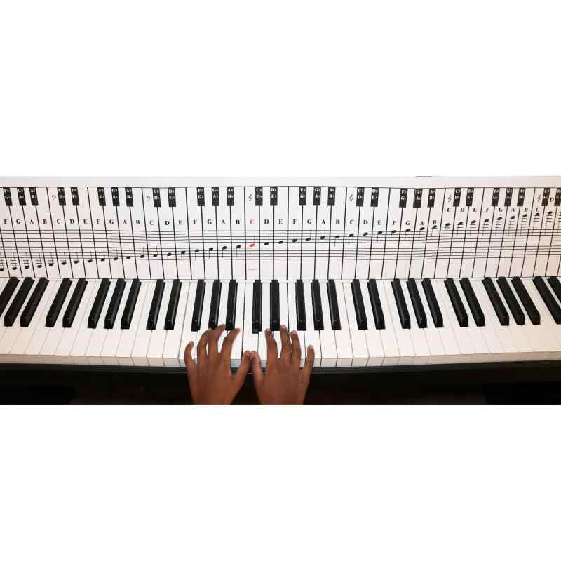 Piano and Keyboard Note Chart for 88 Keys, Use Behind the Keys, Ideal Visual Tool for Beginners Learning Piano or Keyboa...