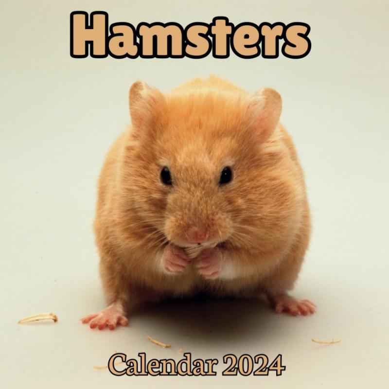 Hamsters Calendar 2024: 16 Months Calendar ,Schedule Organizer From September 2023 to December 2024 ,For Hamsters lovers...