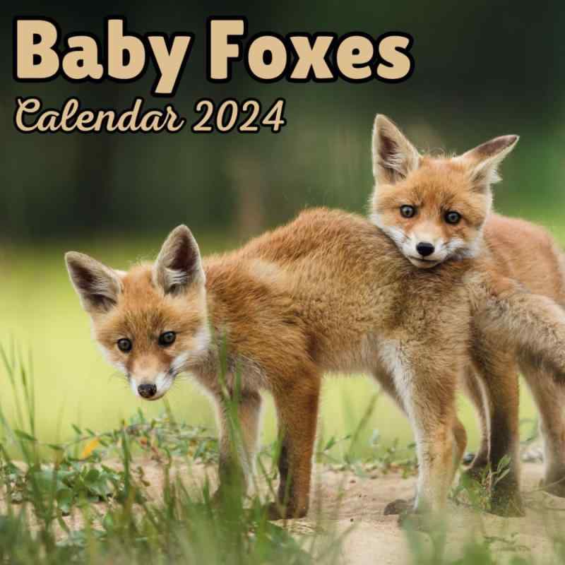 Baby Foxes Calendar 2024: 16 Months , Organizer From September 2023 to December 2024 ,For Foxes lovers , Men , Women , G...