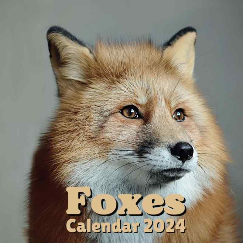 Foxes Calendar 2024: 16 Months Organizer For Home &amp; Office Organizer , Mens , Womens , kids