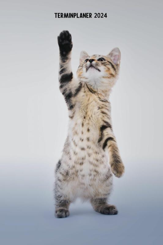Terminplaner 2024: Katzen Design Jahresplaner und Kalender von Januar bis Dezember 2024 - Organizer und Zeitplaner fuer ...