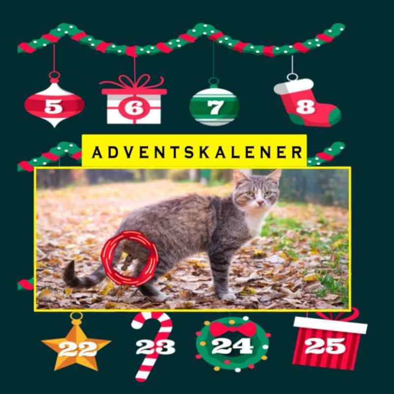 Adventskalender 2023: Kackende Tiere -Bestes Geburtstags- und Neujahrsgeschenk