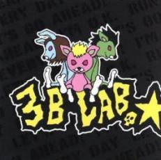 &nbsp;JAN&nbsp;4988002439416&nbsp;品　番&nbsp;VICL61005&nbsp;出　演&nbsp;3B LAB．☆S&nbsp;制作年、時間&nbsp;2002年&nbsp;27分&nbsp;製作国&nb...
