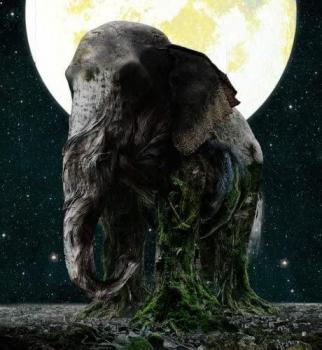 &nbsp;JAN&nbsp;4988064210848&nbsp;品　番&nbsp;RXCD21084&nbsp;出　演&nbsp;MISIA&nbsp;制作年、時間&nbsp;2007年&nbsp;69分&nbsp;製作国&nbsp;日...