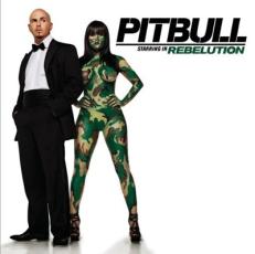 &nbsp;JAN&nbsp;0886976061326&nbsp;品　番&nbsp;88697606132&nbsp;出　演&nbsp;Pitbull(ピットブル)&nbsp;制作年、時間&nbsp;2010年&nbsp;&nbsp;ジャ...