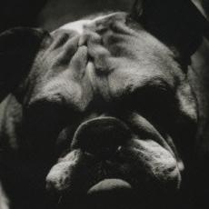 &nbsp;JAN&nbsp;4988007223034&nbsp;品　番&nbsp;CRCP40167&nbsp;出　演&nbsp;CHARCOAL FILTER&nbsp;制作年、時間&nbsp;2007年&nbsp;51分&nbsp;...