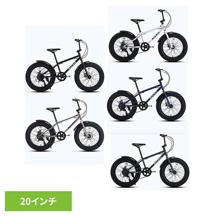 ・フレーム高さ：320mm・ハンドル高さ：1010mm・サドル高さ：720〜860mm・ブレーキ：【フロント・リア】デイスクブレーキ・対応バルブ： 米式バルブ・ホイール：20inch×4.0※商品のデザイン、仕様、外観、は予告なく変更する場...