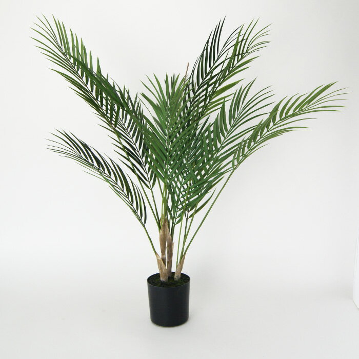 ◆サイズ H=70POT H=10 Φ=9 表記のサイズは自然に置いた状態にて計測しております。 枝等を引っ張り伸ばしたサイズを測っているわけではありませんので、置き方や測る向きによってサイズは異なります。 大きさ、長さのおおよその目安とし...