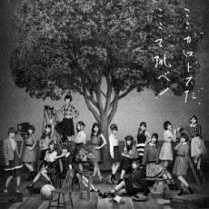 &nbsp;JAN&nbsp;4988003463168&nbsp;品　番&nbsp;KICS3164/5&nbsp;出　演&nbsp;AKB48&nbsp;制作年、時間&nbsp;2015年&nbsp;113分&nbsp;製作国&nbsp...