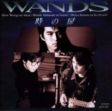 &nbsp;JAN&nbsp;4940132000324&nbsp;品　番&nbsp;BGCH1007&nbsp;出　演&nbsp;WANDS&nbsp;制作年、時間&nbsp;1994年&nbsp;43分&nbsp;製作国&nbsp;日本...