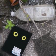 &nbsp;JAN&nbsp;4547403009507&nbsp;品　番&nbsp;AICL2126&nbsp;出　演&nbsp;黒猫チェルシー&nbsp;制作年、時間&nbsp;2010年&nbsp;24分&nbsp;製作国&nbsp;...