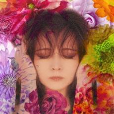 &nbsp;JAN&nbsp;4988031127605&nbsp;品　番&nbsp;UPCH2068&nbsp;出　演&nbsp;中森明菜&nbsp;制作年、時間&nbsp;2015年&nbsp;64分&nbsp;製作国&nbsp;日本&...