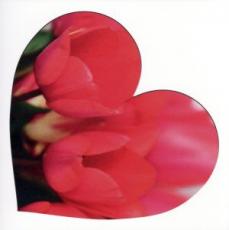 &nbsp;JAN&nbsp;4560230521363&nbsp;品　番&nbsp;SGCR1&nbsp;出　演&nbsp;DJ TORA&nbsp;制作年、時間&nbsp;2011年&nbsp;&nbsp;メーカー等&nbsp;SUGA...