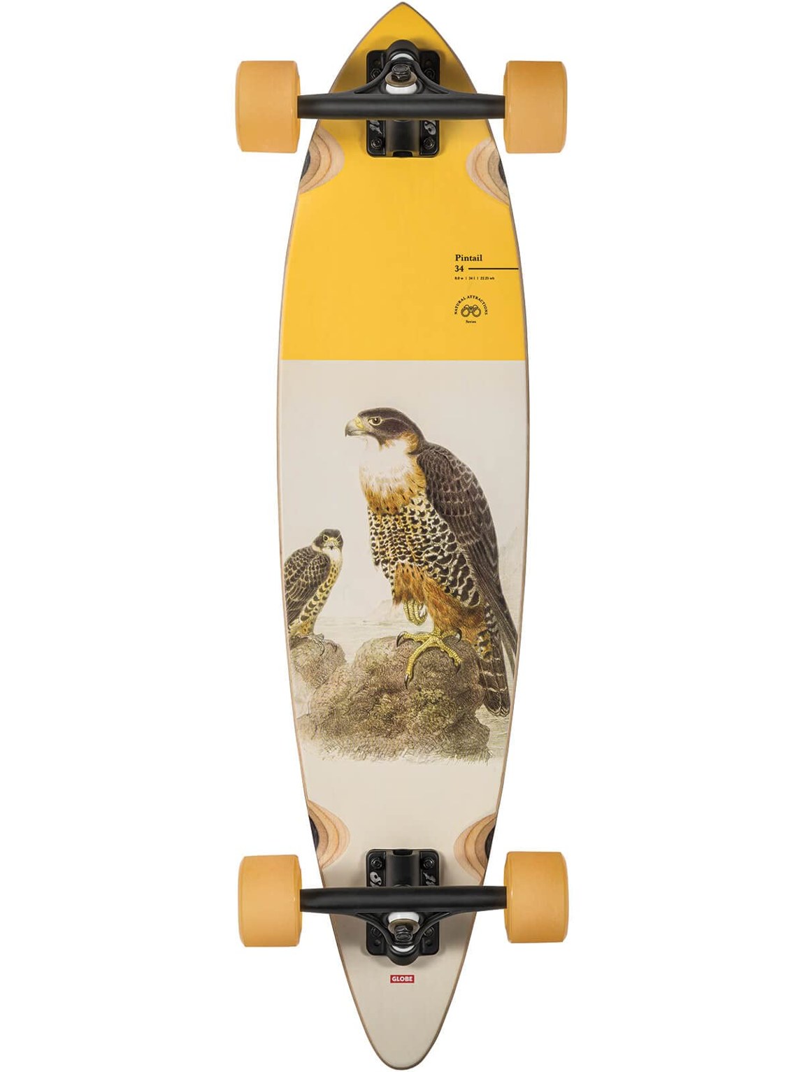 PRODUCT DETAILS Globe Pintail 34 Falcon ロングボード スケートボード コンプリート 8.5" x 34"【商品仕様】・ 種別：ロングボード（完成品）・ デッキサイズ：8.5インチ × 34インチ（約2...