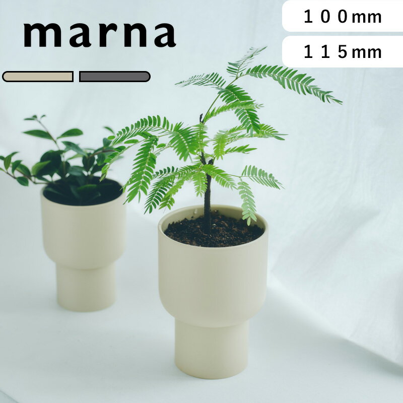 楽天市場】植木鉢 3cm×3cm 10個の通販 楽天市場】植木鉢 3cm×3cm 10個の通販