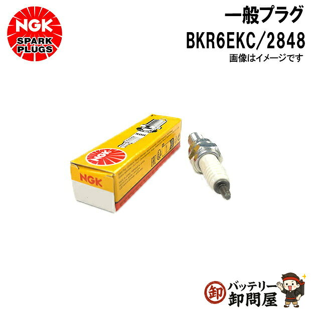 .商品概要 ■ NGK BKR6EKC プラグ 2848 メーカー NGK日本特殊陶業 品番 BKR6EKC 取付ねじ径 直径14.0mm 取付ねじ長 19.0mm 六角対辺(HEX) Hex 16.0mm 一般プラグ（2極タイ...