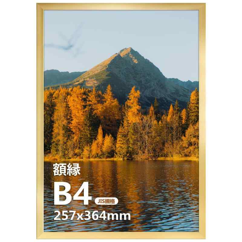 Vasemouh B4 額縁 ファイル フォト フレーム 軽量 364x257mm 壁掛け 卓上対応 写真 絵画 ポスター ゴールド 1枚フレーム外寸: 271x378mm 収納用紙サイズ:B4/364x257mm（JIS規格）軽量設計: ...