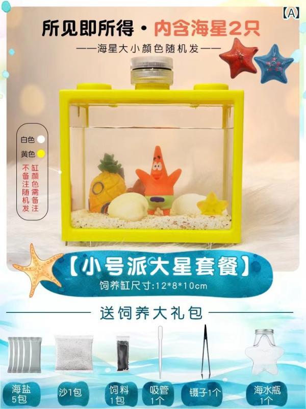 【 海星 飼育 コース】 海星 生き 体 ペット ミニ 海洋 生物 満天星 デスク トップ ペット 造 景 シリンダー材質: プラスチック産地: 中国輸入ですか: いいえ製品カテゴリ: その他の水族館用品特許の供給源ですか: いいえブランド...