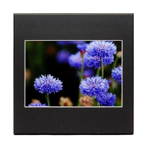 レヂナ 差替えマットパネル 全紙ノートリ 黒バックシート寸法(380×562×0.5mm)　パネル外寸(530×640mm)　窓抜き寸法(526×348mm)