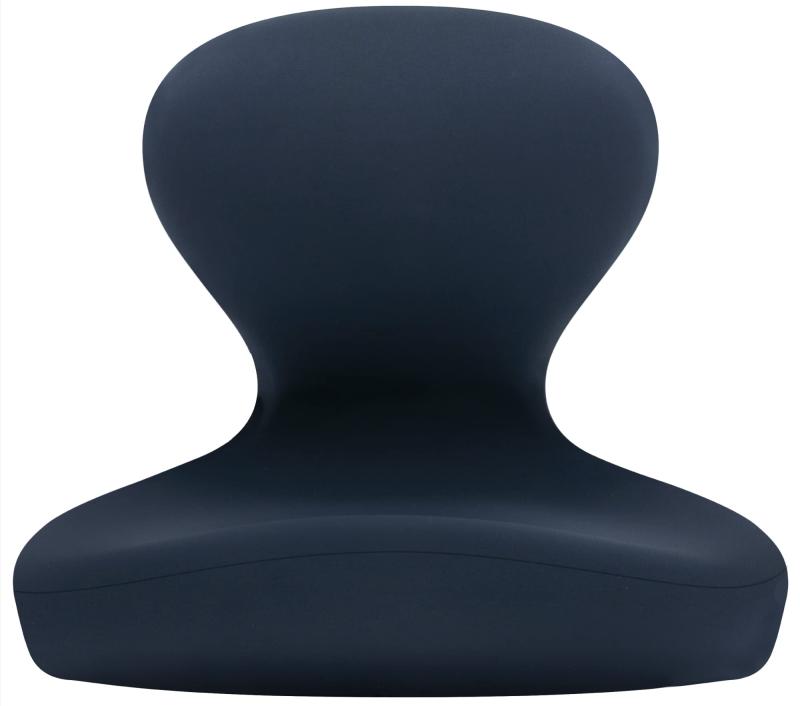 アンドメディカル BOLLARDCHAIR (ボラードチェア) (ネイビー) 姿勢 骨盤 腰痛 骨盤矯正 姿勢矯正 座椅子 椅子腰を心地よく支える姿勢サポートで腰痛対策座り姿勢を基本から整えるコンパクトな座椅子誰でも座るだけで凛とした美しい...