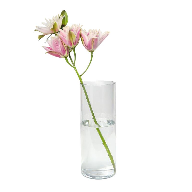 割れない花瓶割れない花瓶です。ガラスと同等の透明感があり汚れや減った水の量に気づきやすいフラワーベースです。