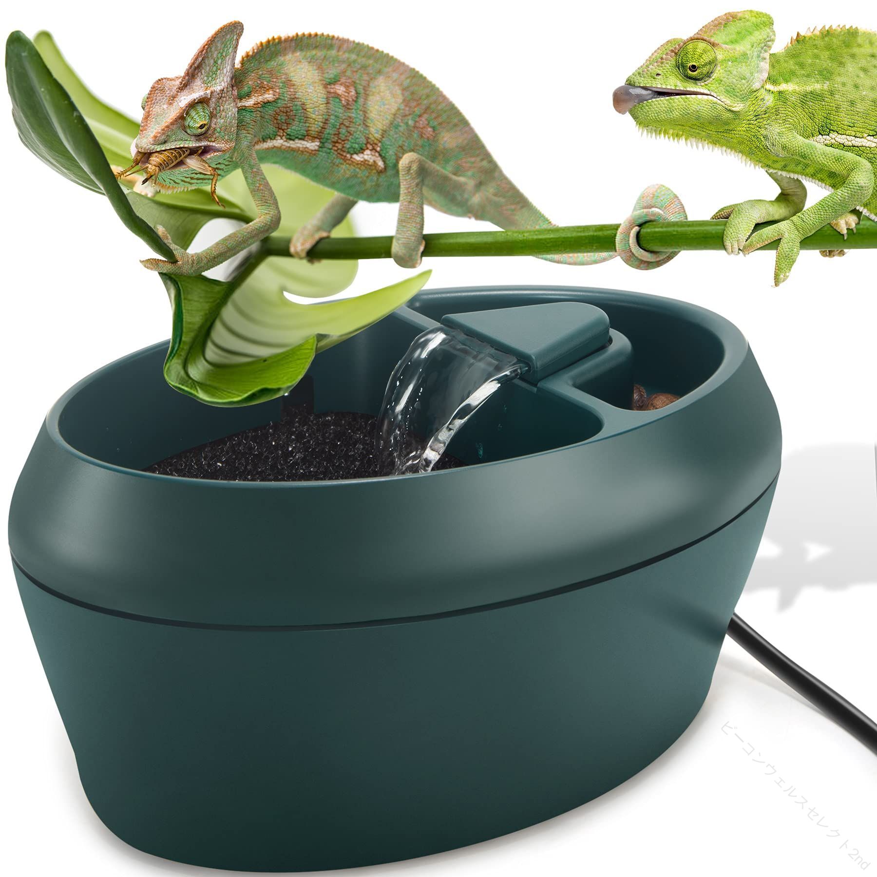 -【完璧な爬虫類給水器】爬虫/両生類のおペットたちにより新鮮、清潔、酸素たっぷり入ってるの流れ水を常に提供し続けます。水の流れによって、タンク内の湿度レベルをあがれ、昆虫/トカゲ/カメ/ヘビ/クモ/カエル/ヤモリに適用です。 -【高品質、安...