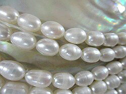 淡水パール ホワイト OV6・5x9・5（6x9〜7x10） ホワイト パール ビーズ ホワイト パール ビーズ 淡水パール ネックレス パール ネックレス パール ネックレス 製製用 パール ビーズパーツ 淡水パール　ホワイト　オヴァール...