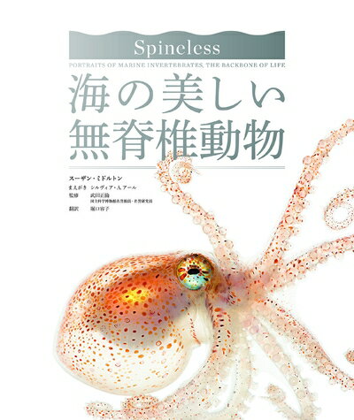 【商品名】海の美しい無脊椎動物（中古品）中古本の特性上【ヤケ、破れ、折れ、メモ書き、匂い】等がある場合がございます。特に状態が【可】の場合は書き込みや破れがある場合がございますので予めご承知おきのほどよろしくお願いいたします。読む分には問題...