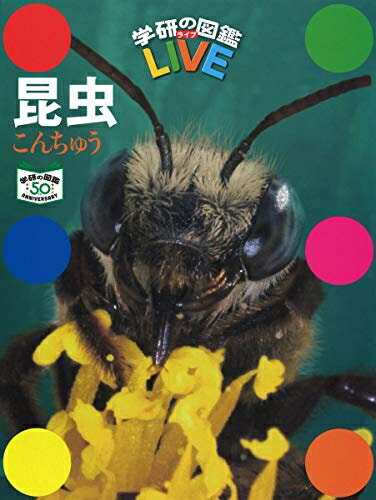 【商品名】昆虫 特別版 (学研の図鑑LIVE(ライブ))（中古品）中古本の特性上【ヤケ、破れ、折れ、メモ書き、匂い】等がある場合がございます。特に状態が【可】の場合は書き込みや破れがある場合がございますので予めご承知おきのほどよろしくお願い...