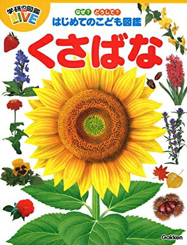 【商品名】なぜ?どうして?はじめてのこども図鑑 くさばな (学研の図鑑 LIVE なぜ?どうして?はじめてのこども図鑑)（中古品）中古本の特性上【ヤケ、破れ、折れ、メモ書き、匂い】等がある場合がございます。特に状態が【可】の場合は書き込みや...