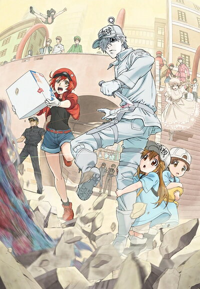 【商品名】はたらく細胞 7(完全生産限定版) [DVD]（中古品）中古品の特性上【破れ、パッケージの欠け,割れ、レンタル落ち、メモ書き】等がある場合がございます。また、商品名に【付属、特典、○○付き、ダウンロードコード】等の記載があっても中...