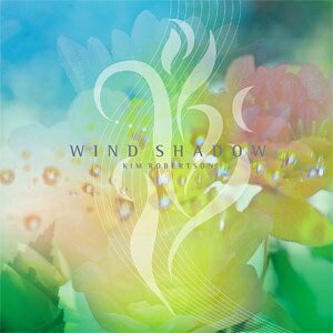 【商品名】WIND SHADOW（中古品）中古品の特性上【破れ、パッケージの欠け,割れ、レンタル落ち、メモ書き】等がある場合がございます。使用する上で問題があるものではございません。商品名に【付属、特典、○○付き、ダウンロードコード】等の記...