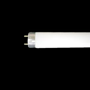 【最短発送日時につきまして】商品のお届け日を「指定なし」としていただきますと最短で発送されます。最短でのお届けをご希望の場合には、お届け日を「指定なし」としてご注文いただきますようお願いいたします。【商品名】東芝(TOSHIBA) Hf蛍光...