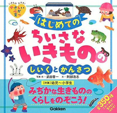 【最短発送日時につきまして】商品のお届け日を「指定なし」としていただきますと最短で発送されます。最短でのお届けをご希望の場合には、お届け日を「指定なし」としてご注文いただきますようお願いいたします。【商品名】はじめてのちいさないきもののしい...