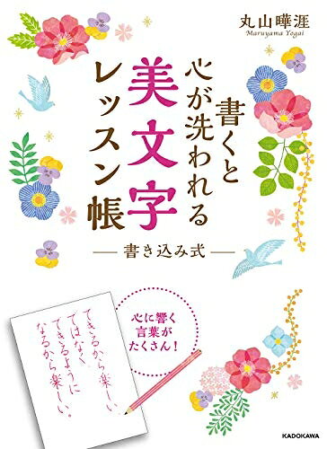 【最短発送日時につきまして】商品のお届け日を「指定なし」としていただきますと最短で発送されます。最短でのお届けをご希望の場合には、お届け日を「指定なし」としてご注文いただきますようお願いいたします。【商品名】書くと心が洗われる 美文字レッス...
