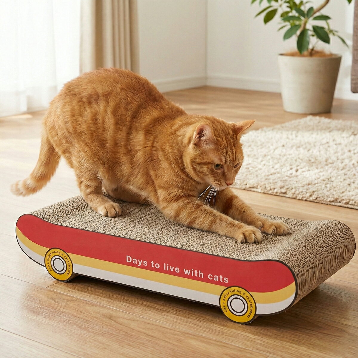 　 　サイズ 　 　 約：幅42×奥行19×高さ9cm 　 　素材 　 　 紙（段ボール） 　 　重量 　 　 約0.5kg 　 　商品組立の有無 　 　 完成品です。 　 　配送・送料 　 　 沖縄・離島：配送不可となります。 ご注文希望...