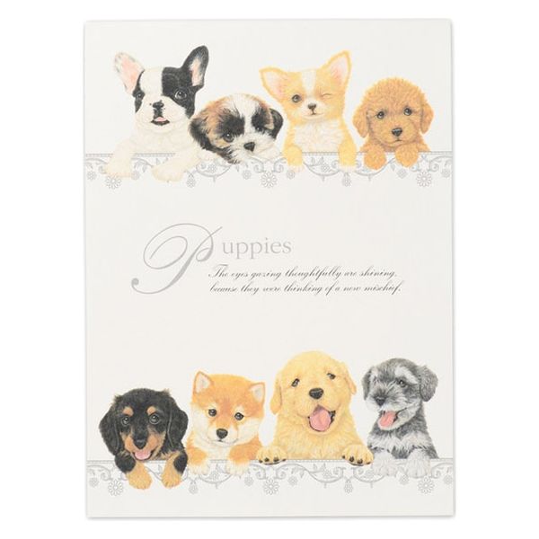 可愛いこいぬのイラストが入った便箋です。 4種ずつ違う子犬のイラストが入った2種類をアソートしました。 愛らしい表情の子犬たちが仲良く並んでいます。 フレンチブルドッグ・トイプードル・チワワ・ゴールデンレトリバー・柴犬・シュナウザー・ダック...