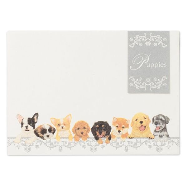 可愛い八匹の子犬のイラストが入った封筒です。 愛らしい表情の子犬たちが仲良く並んでいます。 フレンチブルドッグ・トイプードル・チワワ・ゴールデンレトリバー・柴犬・シュナウザー・ダックスフント サイズ：縦118×横165mm 入り数：4枚入 ...