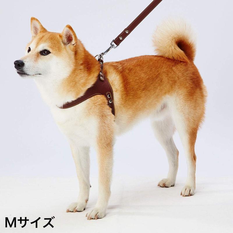ペティオ (Petio) Porta ポルタ ソフトレザーベストハーネス ブラウン 犬 M サイズ本体サイズ (幅X奥行X高さ) :22×3.5×34cm本体重量:0.09kg原産国:日本複数店舗にて販売をしておりますため、在庫データの更新...