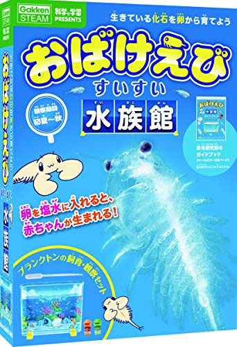 おばけみたいなかわいい姿のプランクトンを飼育・観察できるキット。乾燥卵を塩水に入れると2日で赤ちゃんが生まれ、20日ほどで親になって卵を産みます。付属のガイドブックで生態をくわしく解説。自由研究にもオススメ。原産国:日本