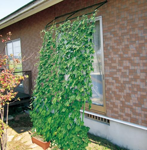 サイズ:3.6*5m、10cm角材質:ポリエチレン