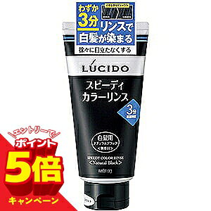 　 ※パッケージデザイン等は予告なく変更されることがあります。予め御了承下さい。 　 特徴 ・落ち着いた自然なブラック・マンダムの独自技術、スピーディ染色処方。たった3分でカラー成分が髪に浸透！ ・髪をいたわる3種のトリートメント成分 ※1...