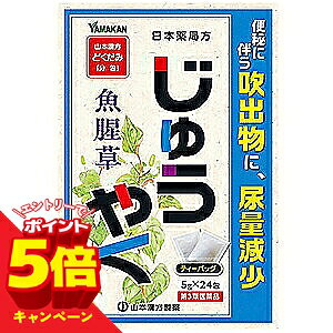 特徴 ●じゅうやく(ドクダミ)を使用した煎じ薬です。 ●便秘や、便秘に伴う吹き出物、尿量減少に効果をあらわします。 ●日本薬局方植物原料なので、おだやかに効きます。 効果・効能 便秘、便秘に伴う吹出物、尿量減少 用法・用量 (年齢：1回量、...